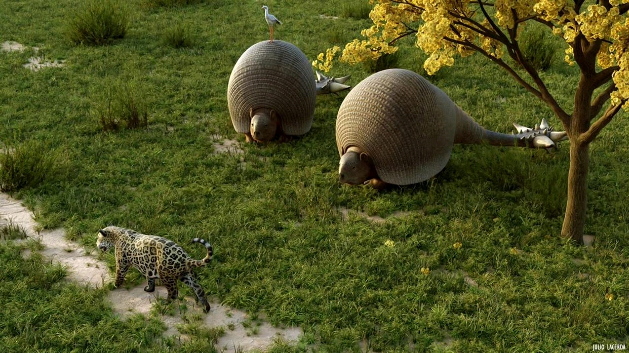 分享古生物图片 - 哔哩哔哩