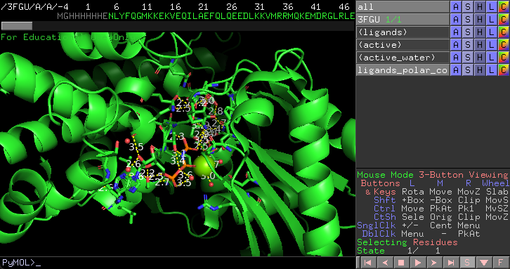 PyMOL绘图实例【03】酶活性位点的展示 - 哔哩哔哩