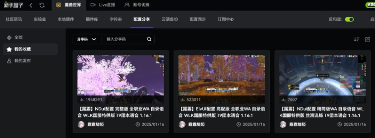 【1月16日】露露的配置分享，怀旧服WLK国服特供版，更新T9 - 哔哩哔哩