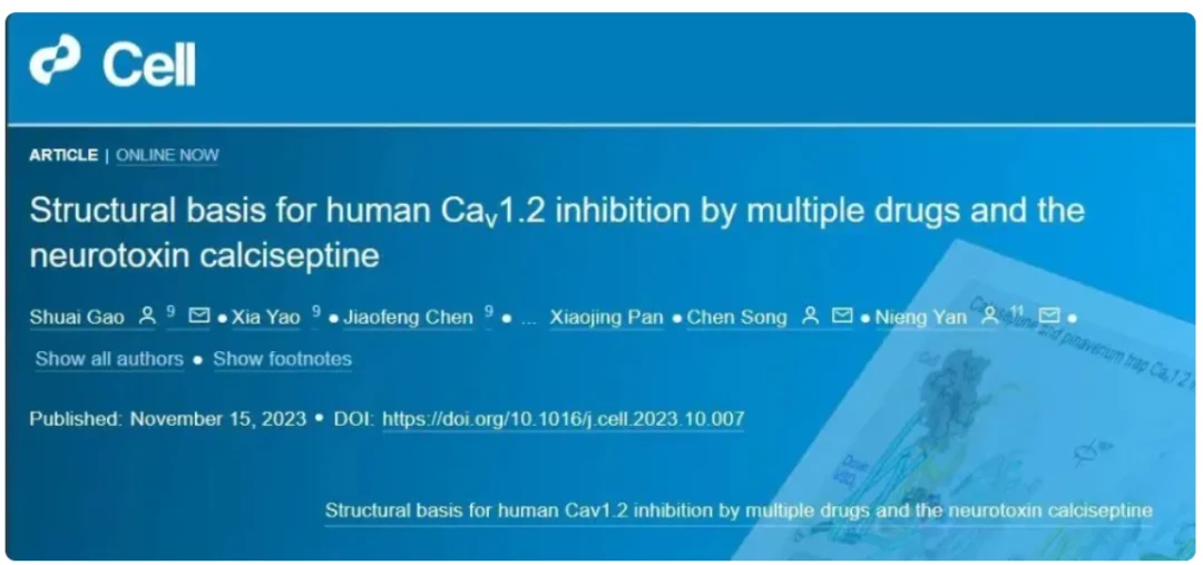 新晋中科院院士颜宁教授联手高帅、宋晨问鼎Cell：揭开钙离子通道Cav1.2结构的神秘面纱 - 哔哩哔哩