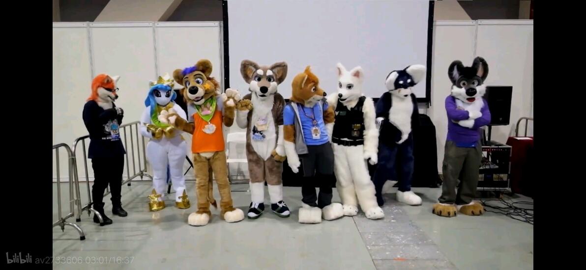 【什么是furry/furry的起源】科普|基于3年来我个人对furry文化的理解和认识 - 哔哩哔哩