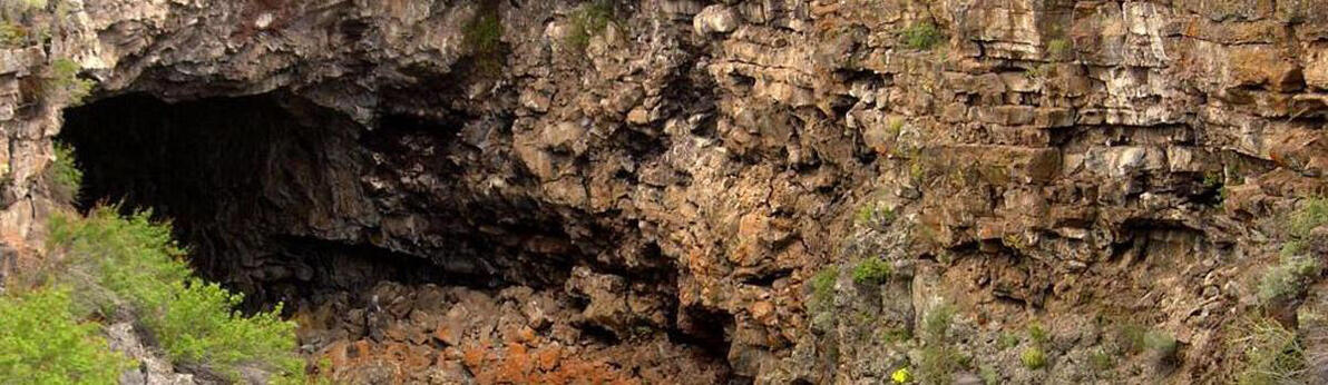 SCP基金会 SCP-2935介绍和我的观点 - 哔哩哔哩