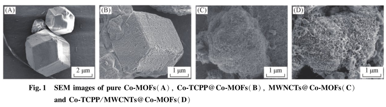 钴卟啉功能化多壁碳纳米管Co-TCPP@ Co-MOFs - 哔哩哔哩