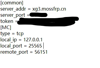 Minecraft 联机教程 -- FRP 篇 - 哔哩哔哩