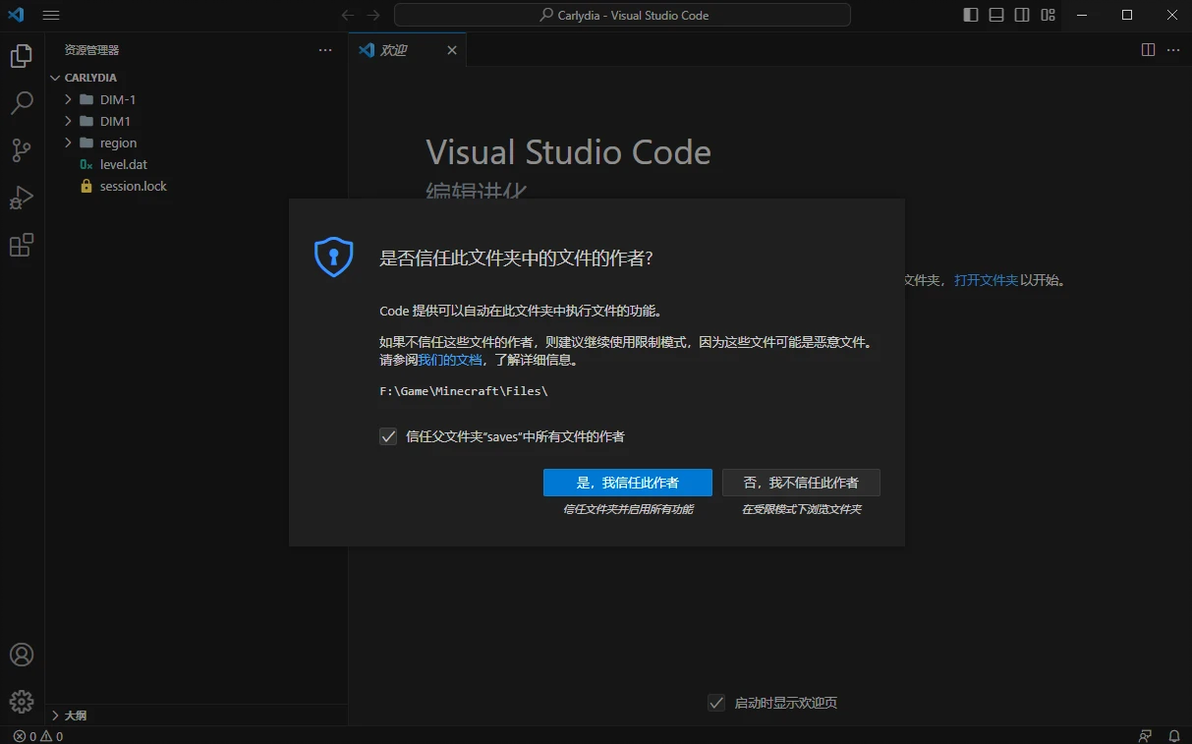 使用 VSCode 查看和编辑 Minecraft 存档的 NBT 数据 - 哔哩哔哩