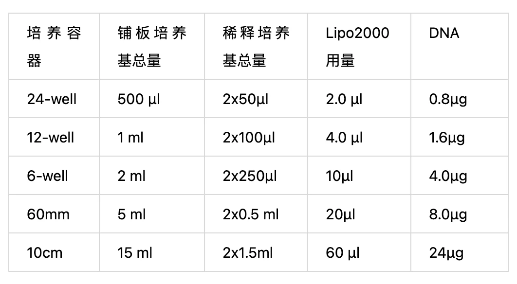 Lipofectamine 2000瞬时转染的实验流程 - 哔哩哔哩