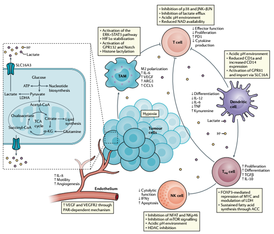 傻瓜式操作的科研绘图神器Figdraw，实现绘图自由就靠它了！ - 哔哩哔哩