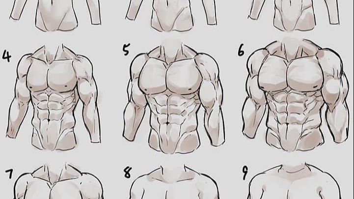 【投票】9种男生身材分析 哪款是你的菜？ - 哔哩哔哩