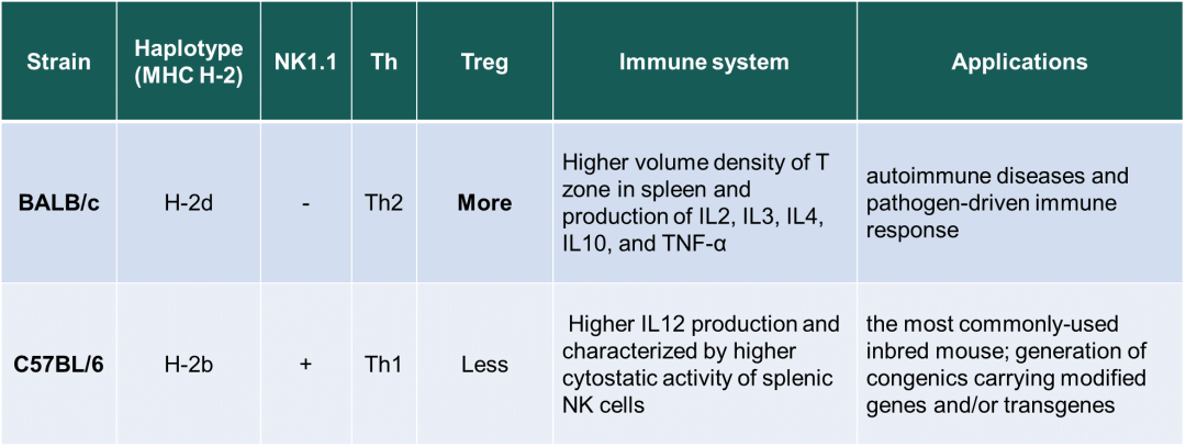 鼠库全书丨爱鼠要如何选择？BALB/c or C57BL/6？ - 哔哩哔哩