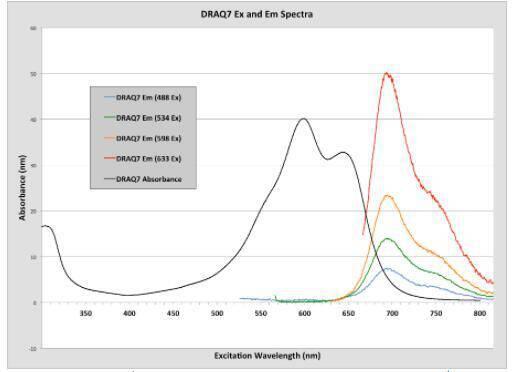 DRAQ7(0.3mm)是一种远红外DNA染料，其上限激发波长为 599/644 nm - 哔哩哔哩