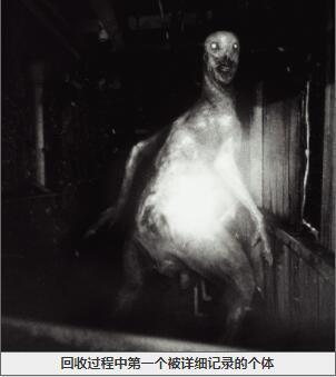 关于SCP基金会中那些各类K级情景介绍 - 哔哩哔哩