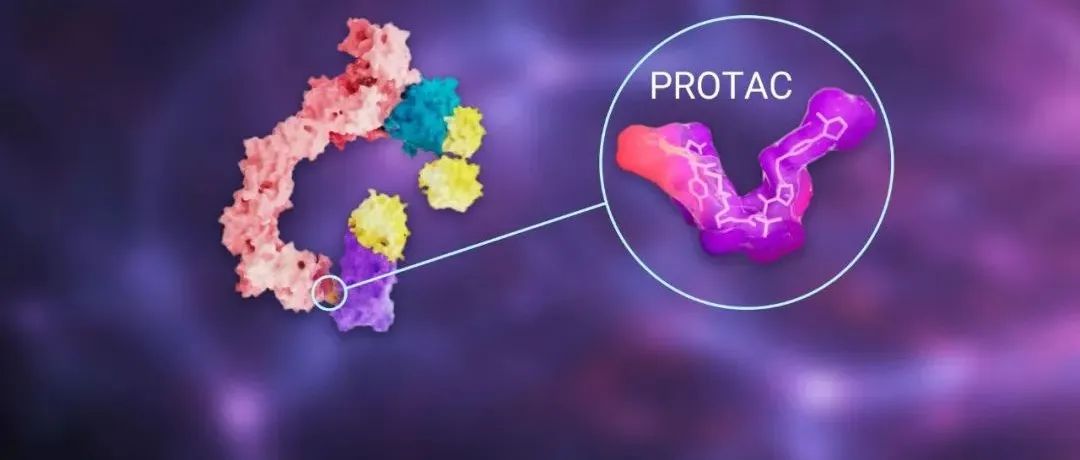 PROTAC——靶点选择与设计 | MedChemExpress - 哔哩哔哩