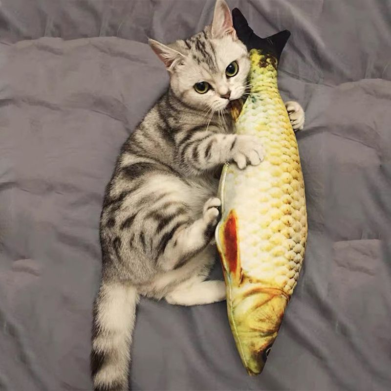 有趣的猫猫玩具 - 哔哩哔哩