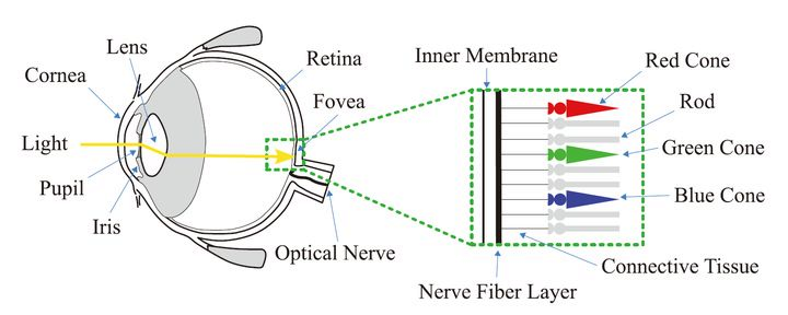 [调色基础] 颜料混合理论 上篇 传统理论分析 - 哔哩哔哩
