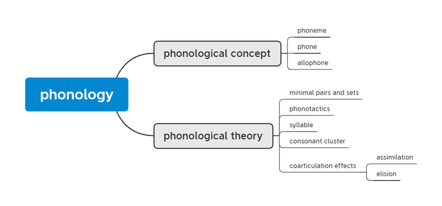 Phonology - 哔哩哔哩