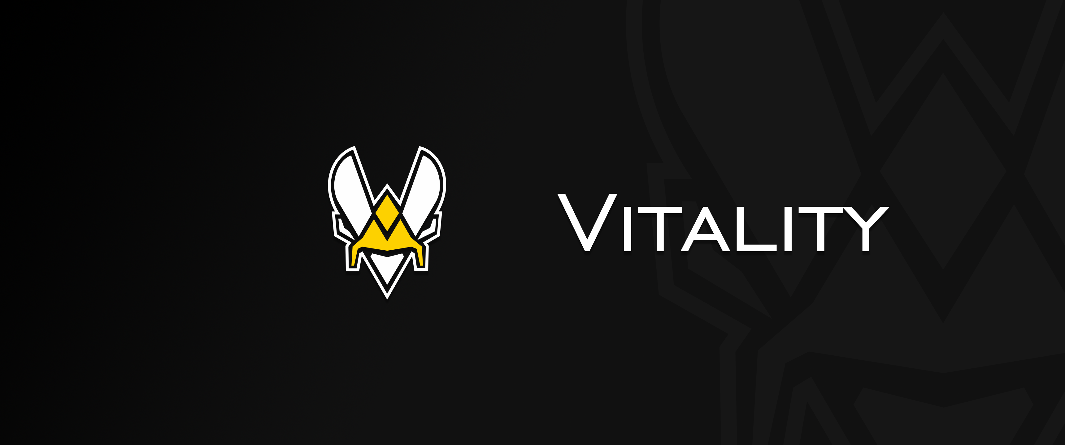 今天分享一张Vitality战队的黑色简约壁纸 - 哔哩哔哩