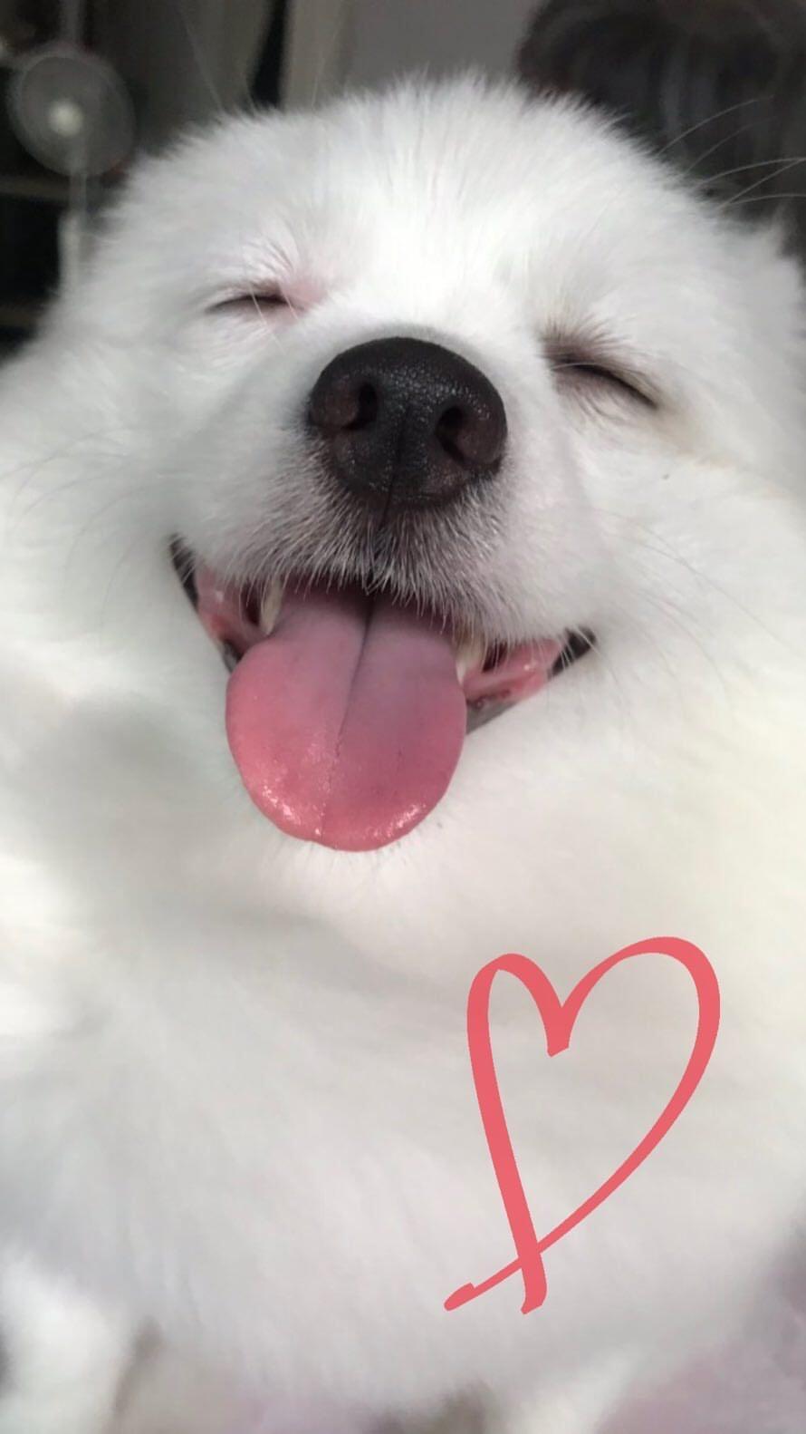 【如何找双语韩剧/无字片源/韩语字幕/韩剧台词？？？】 - 哔哩哔哩