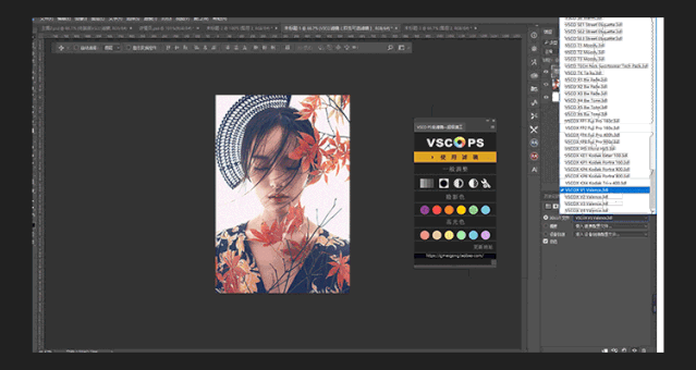 2023升级汉化版，内置676款滤镜，Vsco全滤镜ps插件，支持Win/Mac系统 - 哔哩哔哩