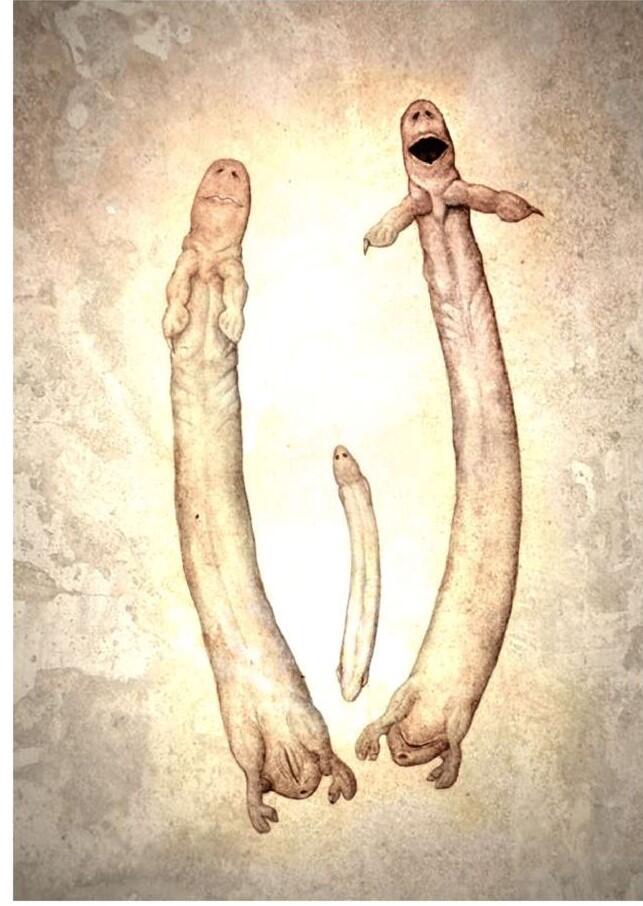 All Tomorrows物種介紹:蠕蟲人(worms) - 哔哩哔哩