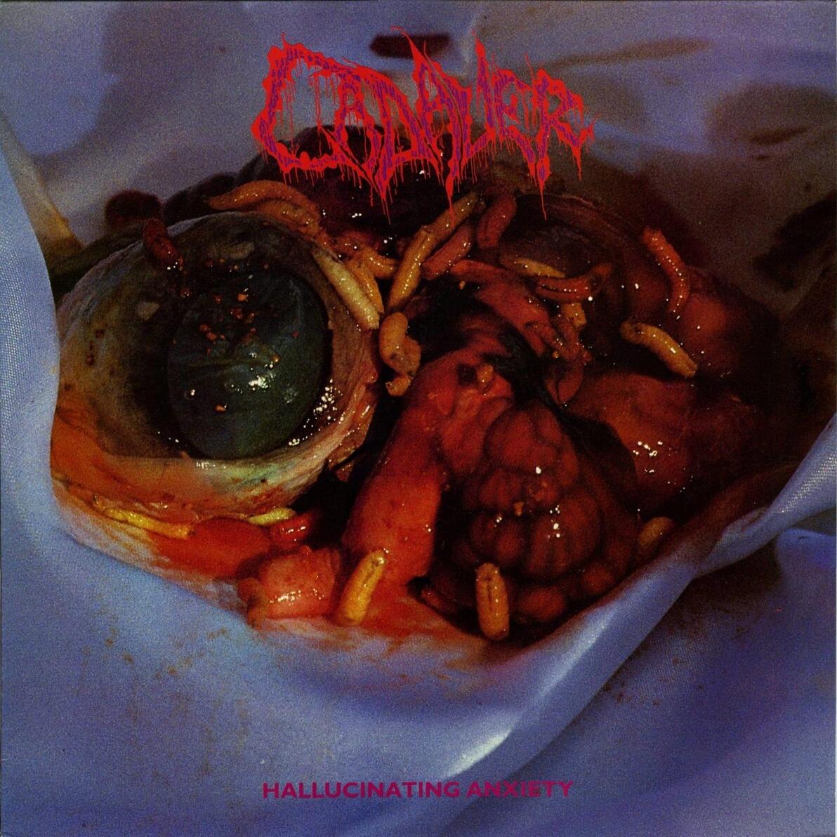 【第二章】1990｜老式死亡金属 - 哔哩哔哩