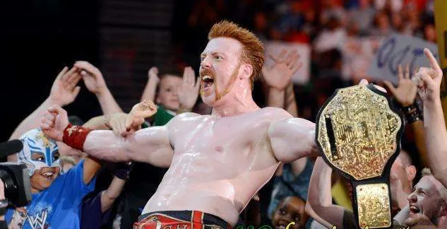 WWE摔角手绝招&终结技&常用技大全[绝招花名册] - 哔哩哔哩