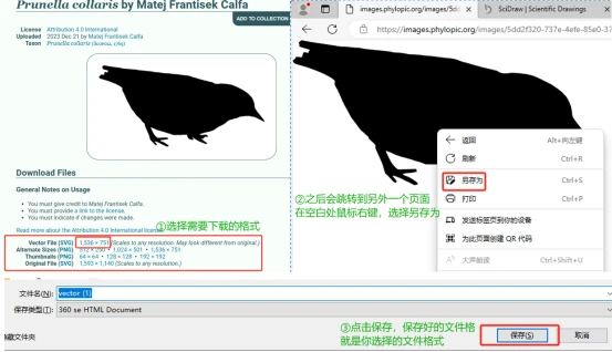 打破信息差之后，原来这11个免费工具都比Figdraw更好用！ - 哔哩哔哩