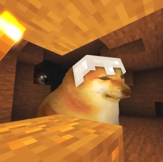 cheem/doge合集【1】｜正常人用的表情包 - 哔哩哔哩