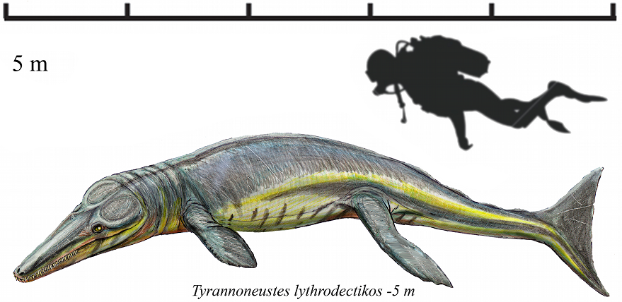蛟横四海惊涛涌——简单说说海鳄亚目（完整版） - 哔哩哔哩
