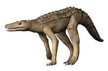 【沙丁鱼分类学】（三）伪鳄类演化树——鳄形超目 - 哔哩哔哩