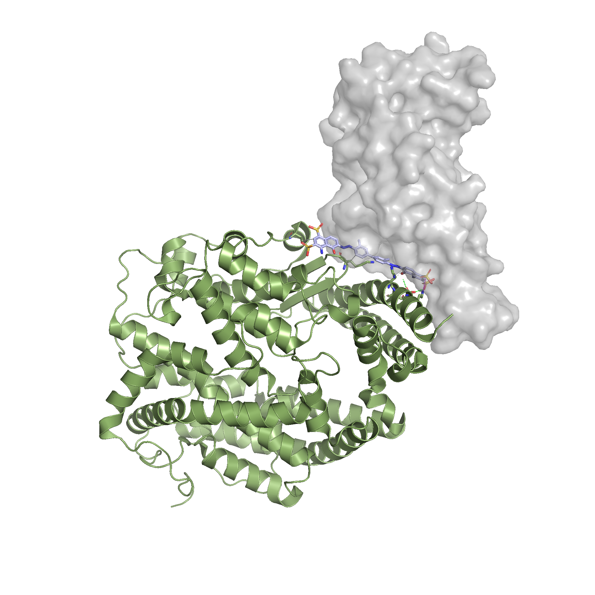 使用Pymol展示分子对接结果 - 哔哩哔哩