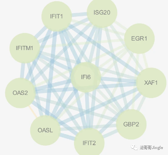 STRING网站+Cytoscape软件制作精美蛋白互作网络图(PPI) - 哔哩哔哩