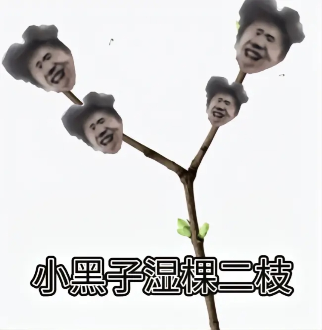 【ikun】蔡徐坤表情包第十四弹！ - 哔哩哔哩