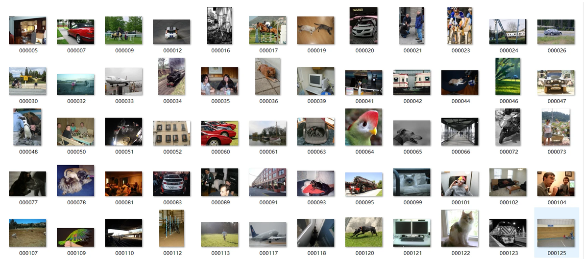 PASCAL VOC 2007数据集介绍 - 哔哩哔哩