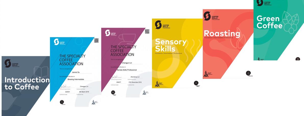 SCA咖啡课程体系&咖啡考证攻略 - 哔哩哔哩