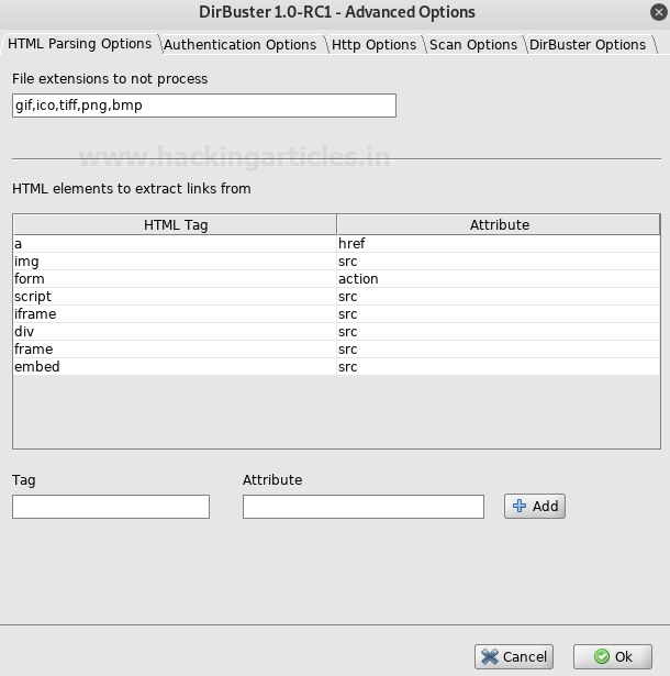 Kali系统目录爆破Dirbuster工具综合指南 - 哔哩哔哩
