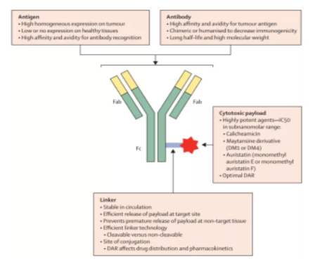 Mc-Val-Cit-PABC-PNP/Ala-Ala-Asn-PAB TFA salt/Fmoc-Ala-Ala-Asn-PA - 哔哩哔哩