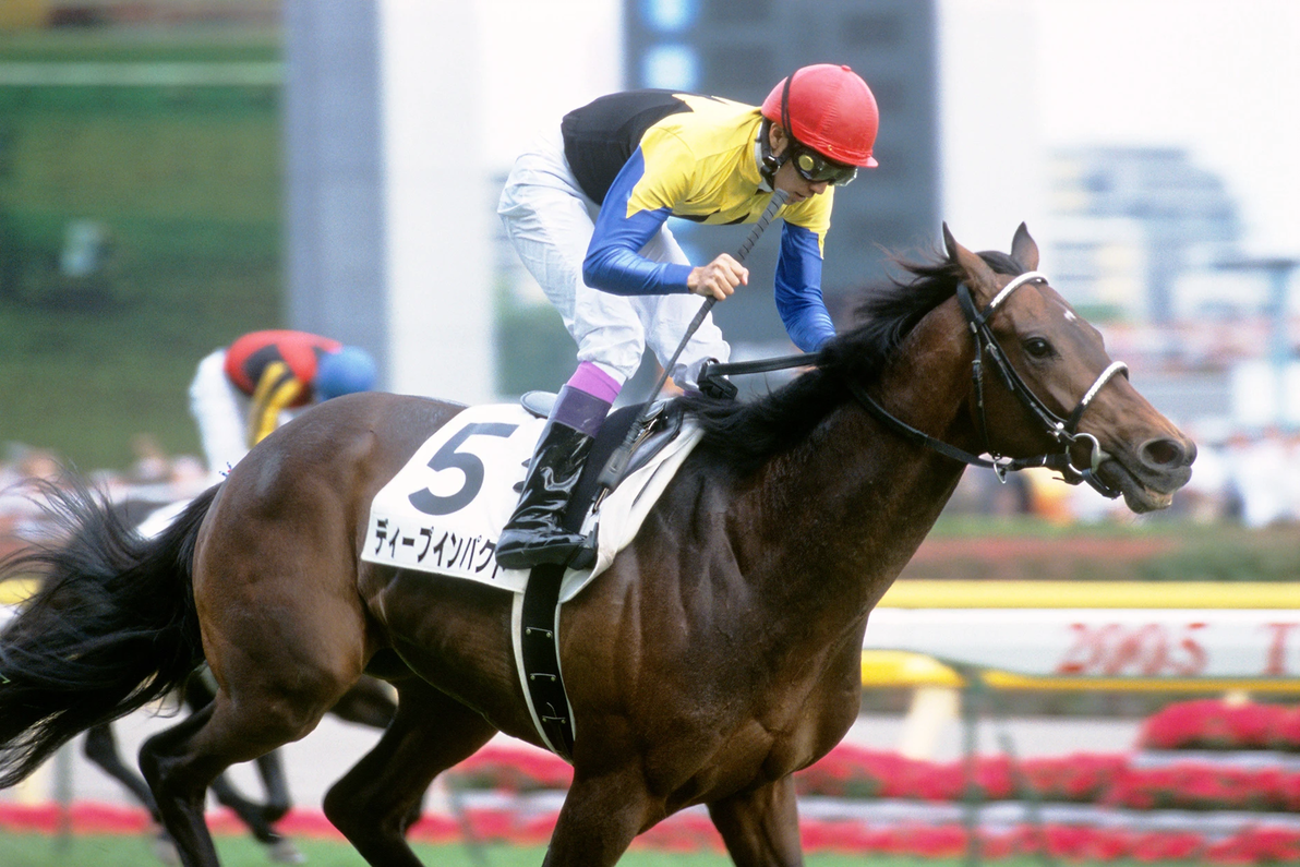 【全图鉴】日本JRA年度代表马（1954-2022） - 哔哩哔哩