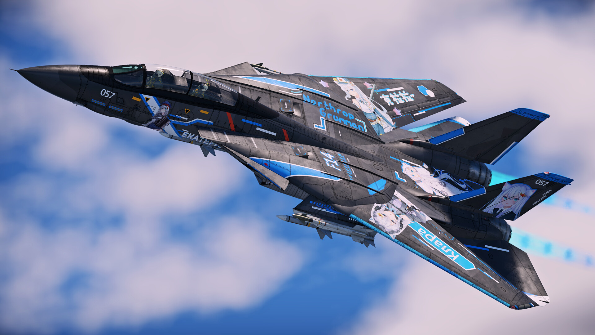 F14涂装预览摄影专栏 - 哔哩哔哩