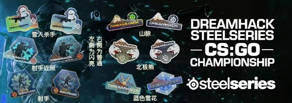 大型纪念品收藏指南——『第一届纪念品』2013年赛睿DreamHack锦标赛 - 哔哩哔哩