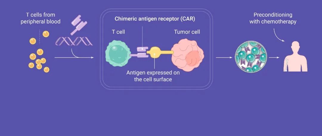 Science & Nature 双开花：改善过继性免疫细胞疗法的新手段 - MedChemExpress - 哔哩哔哩