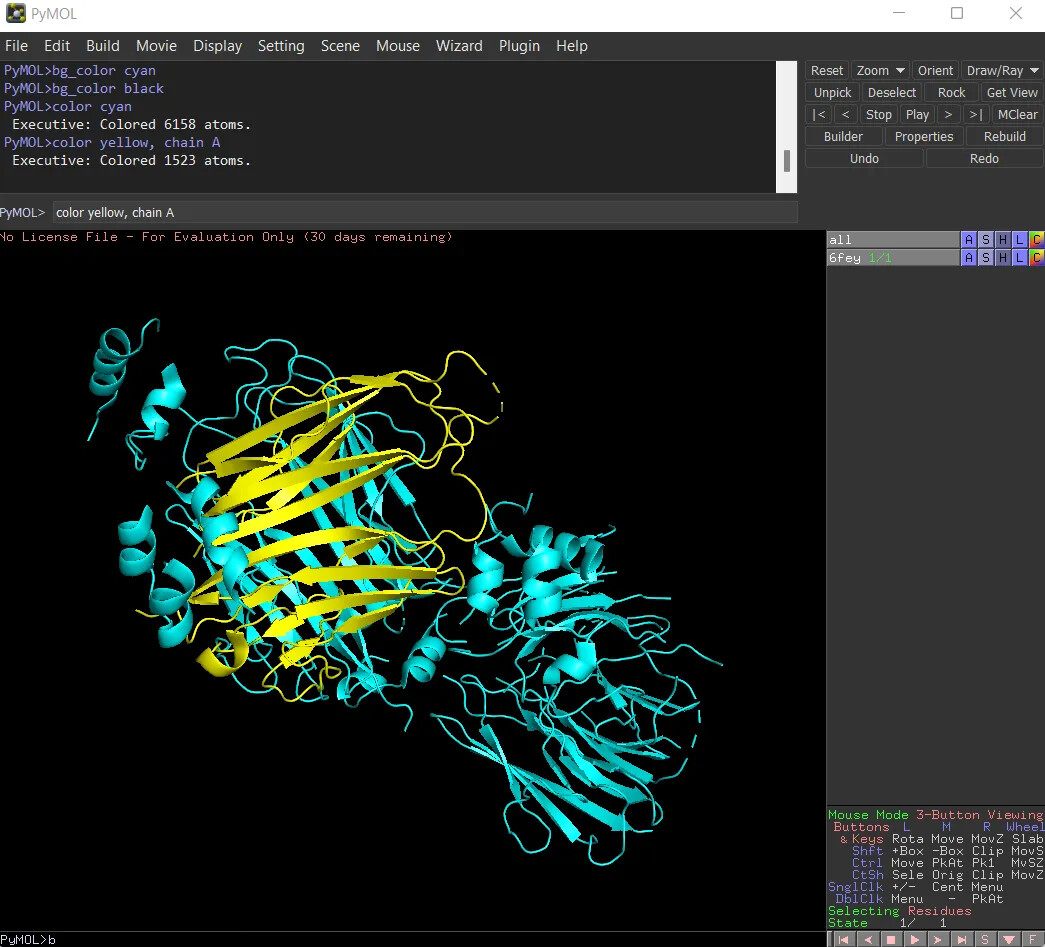PyMOL：您真正需要知道的 10 个非常基本的命令【01】 - 哔哩哔哩