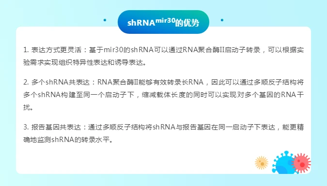 组织特异性干扰神器——基于mir30结构的shRNA - 哔哩哔哩