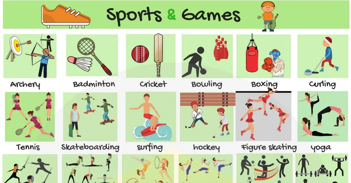 少文英语-词汇篇-体育运动-Sports Vocabulary - 哔哩哔哩