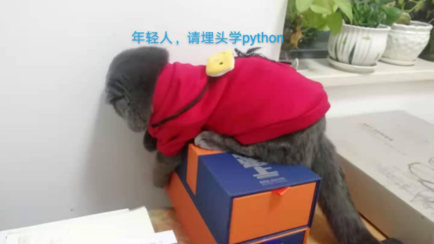 自学python？一般人我还是劝你算了吧 哔哩哔哩 