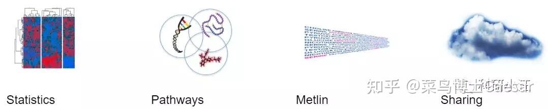 【菜鸟博士学习】MSConvertGUI+seeMS导出质谱离子峰进行分析 - 哔哩哔哩