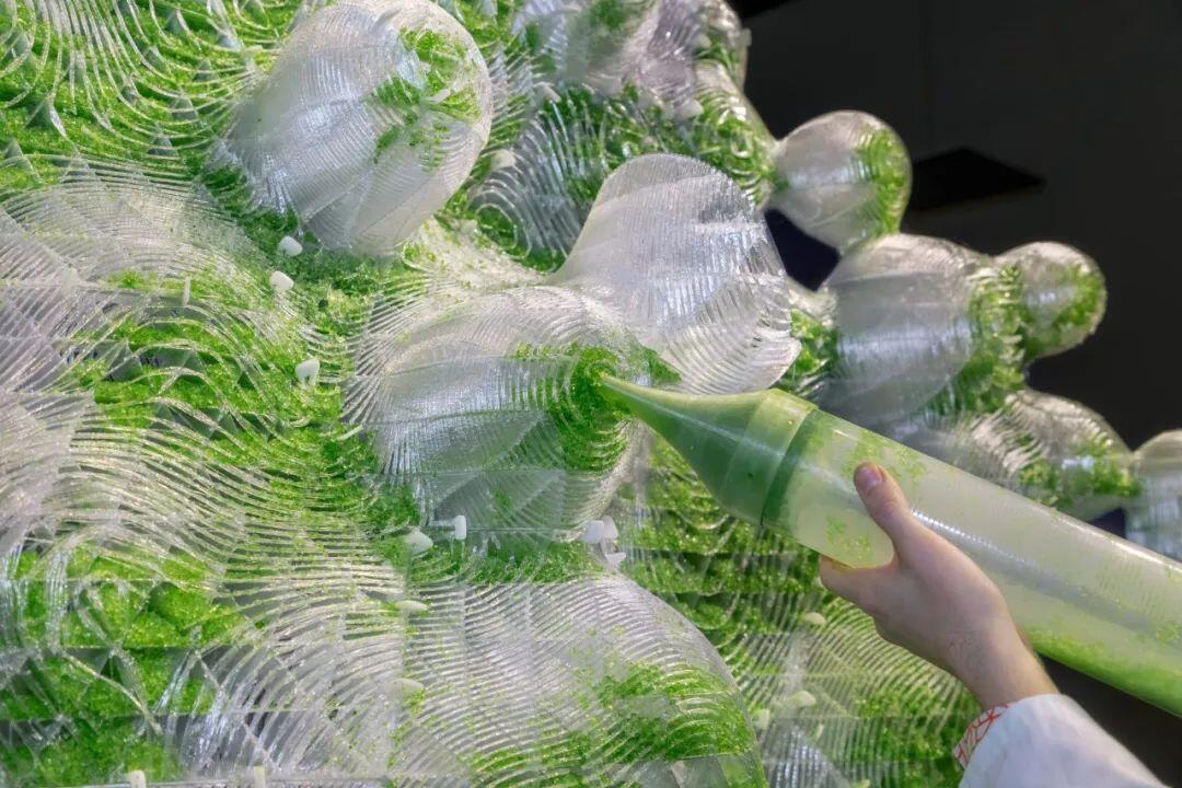 CY TALK | 生物设计科学怪人 ecoLogicStudio 如何运用藻类融入我们的生活 - 哔哩哔哩