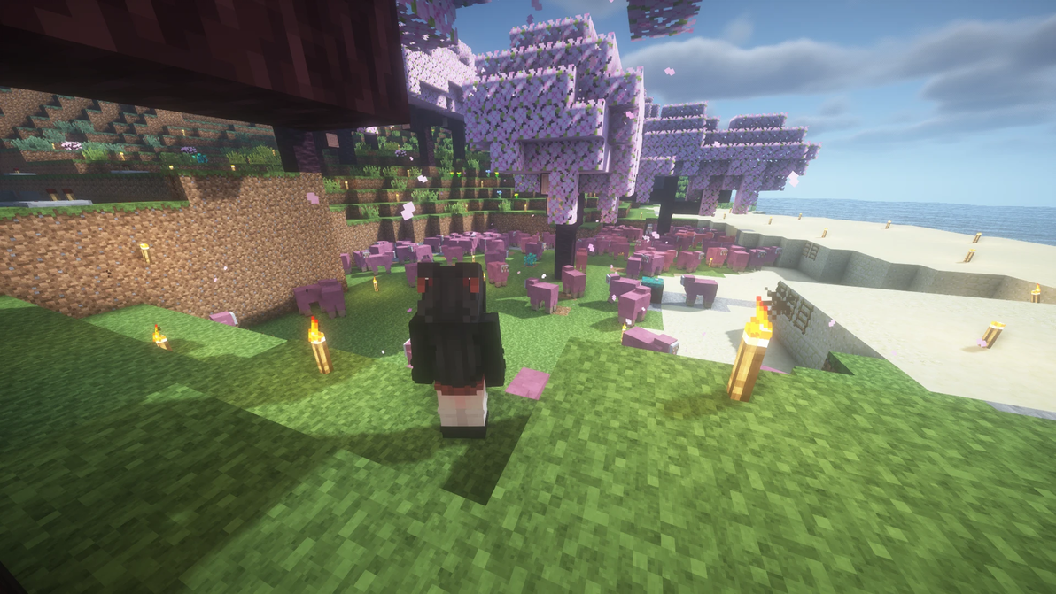 【光影汉化】BSL_v8.2.04 - 哔哩哔哩