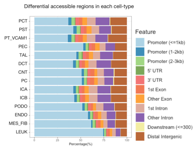 Nat. Commun. | snRNA-seq和snATAC-seq解析成人肾组织细胞构成异质性和损伤发病机制 - 哔哩哔哩