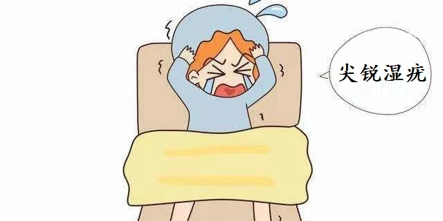 尖锐湿疣复发要注意哪些事项? 哔哩哔哩