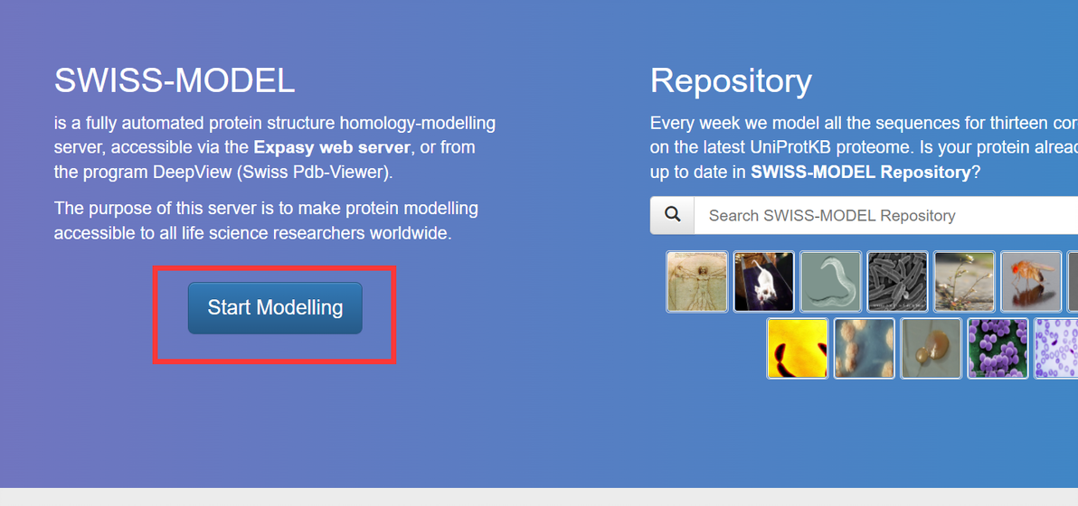 蛋白质建模方法 Modeller 和Swiss model - 哔哩哔哩